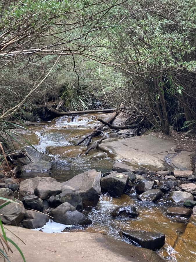 Melbourne: Marysville Day Trip with Healesville Sanctuary - What Travelers Say