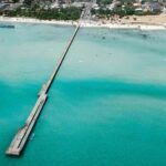 Melbourne: Mornington Peninsula and Moonlit Sanctuary Tour - Deep Dive: Why This Tour Works (and What to Expect)