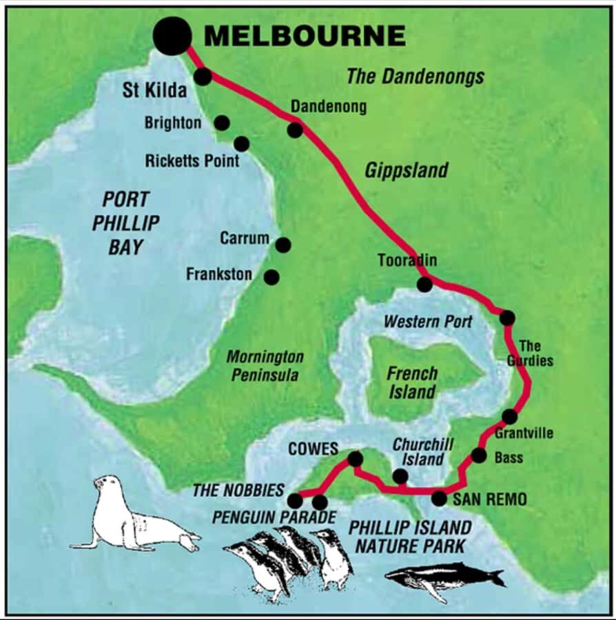 Melbourne: Phillip Island Private Tour with Penguin Parade - What Makes This Tour Stand Out