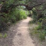 Melbourne: Private Wilson Promontory National Park Day Tours - Practical Aspects & Value