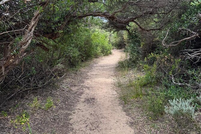 Melbourne: Private Wilson Promontory National Park Day Tours - Practical Aspects & Value