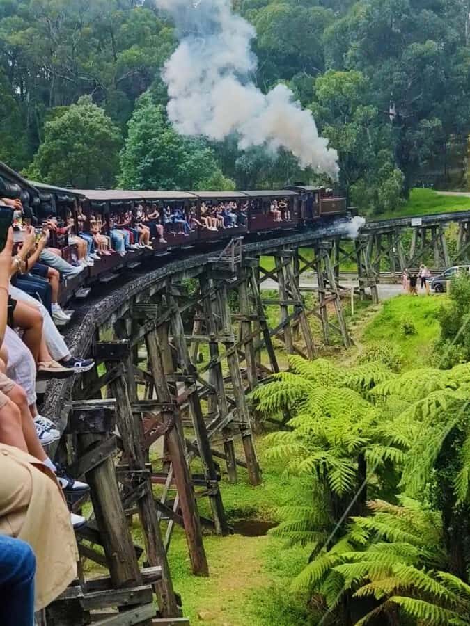 Melbourne: Puffing Billy Train and Penguin Island Day Tour - Comfortable, Seamless Travel