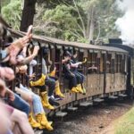 Melbourne Puffing Billy Train and Penguin Parade Day Tour Escape - Exploring the Itinerary in Detail
