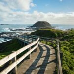 Melbourne: Puffing Billy Train & Penguin Parade Adventure - The Experience Breakdown