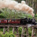Melbourne: Puffing Billy Train Wildlife Zoo Private Tour - The Logistics: What You Need to Know