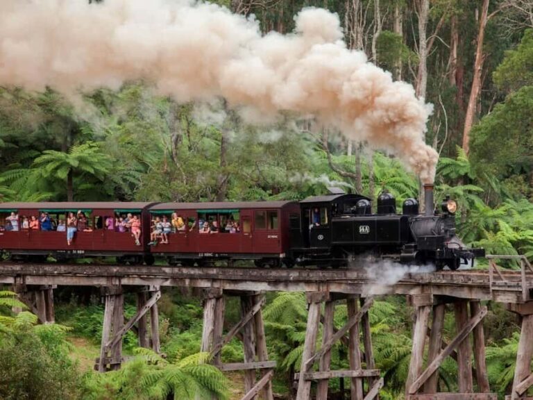 Melbourne: Puffing Billy Train Wildlife Zoo Private Tour - The Logistics: What You Need to Know