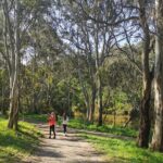 Melbourne Tours Walk the Yarra & Historic Boathouse Lunch - Exploring the Tour in Detail