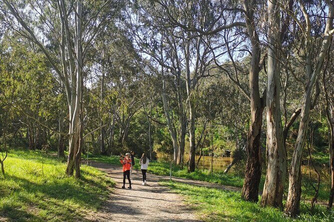 Melbourne Tours Walk the Yarra & Historic Boathouse Lunch - Exploring the Tour in Detail