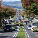 Middle Earth Private Tour from Tauranga Cruise Port. Tickets incl - Detailed Breakdown of the Itinerary