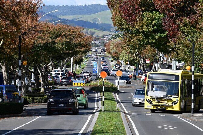 Middle Earth Private Tour from Tauranga Cruise Port. Tickets incl - Detailed Breakdown of the Itinerary