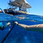 Mooloolaba: Turtle Snorkel & Swim at Mudjimba Island - What Makes It a Great Value?