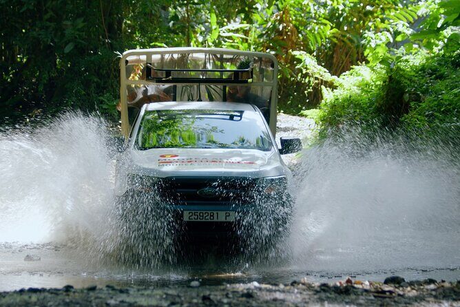 Moorea Cruise Ships: 4x4, Belvedere,Magic Mountain pineaple - What Makes This Tour Stand Out?