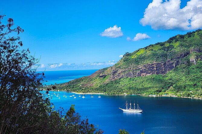 Moorea Full-Day Hiking Experience  Private Shore Tour - What Makes This Tour Worth Considering?