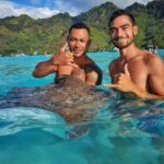 Moorea: Glass Bottom Boat Adventure with Lagoon Wonders - Practical Details & What to Expect