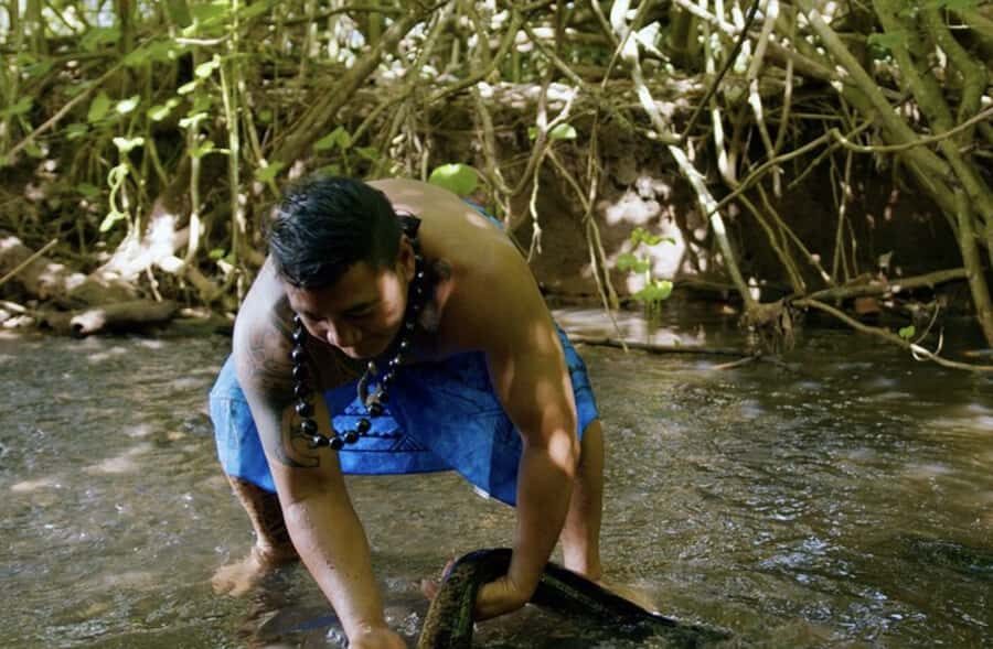 Moorea: Scenic Bus Tour with Guide for Cruise ship passenger - Practical Details and Considerations