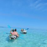 Moorea: Transparent Kayak Day Trip - Meeting Point and Practicalities