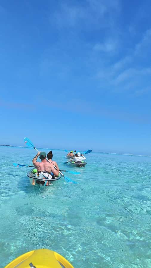 Moorea: Transparent Kayak Day Trip - Meeting Point and Practicalities