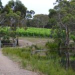 Mornington Peninsula Private Car Winery Tour.1-7 People One Car Price. - Who Will Love This Tour?