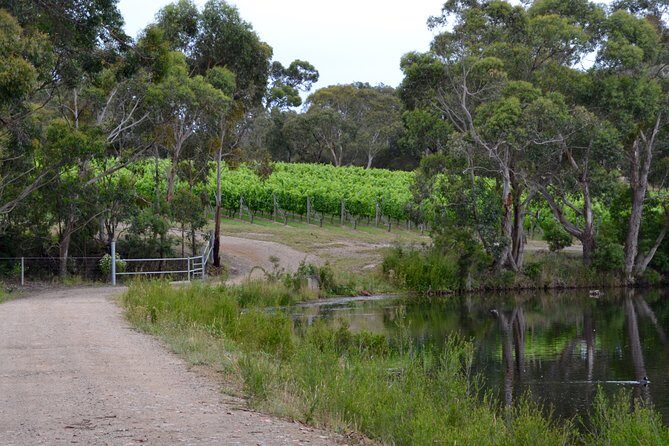 Mornington Peninsula Private Car Winery Tour.1-7 People One Car Price. - Who Will Love This Tour?