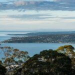 Mornington Peninsula Tour: wildlife, wine, art & hot springs - Practical Tips & Considerations