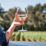 Mornington Peninsula Wine Tasting and Wellness Escape - Who Would Love This Tour?