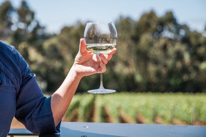 Mornington Peninsula Wine Tasting and Wellness Escape - Who Would Love This Tour?