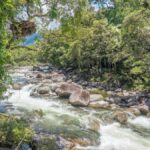 Mossman Gorge: Day Tour with River Drift Experience - Practical Details: What You Need to Know