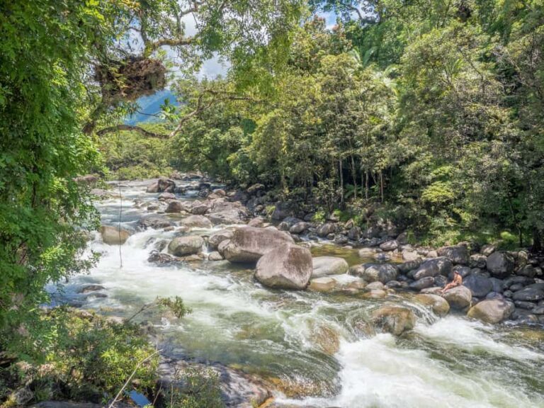 Mossman Gorge: Day Tour with River Drift Experience - Practical Details: What You Need to Know