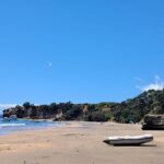 Motuihe Island Day Trip Ferry from Auckland - What to Expect on the Trip