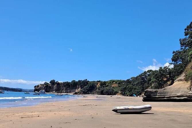 Motuihe Island Day Trip Ferry from Auckland - What to Expect on the Trip