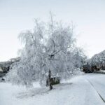 Mount Buller 1 Day Guided Tour - What’s Included and What’s Not