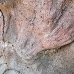 Mount Eccles Volcano  Budj Bim National Park - A Closer Look at the Experience