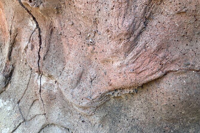 Mount Eccles Volcano  Budj Bim National Park - A Closer Look at the Experience