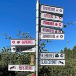 Mount Field And The Derwent Tasting Trail - What You Get and What You Pay