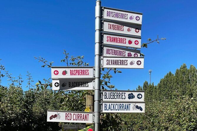 Mount Field And The Derwent Tasting Trail - What You Get and What You Pay