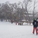 Mt Buller Day Trip from Melbourne - Real Travelers’ Insights