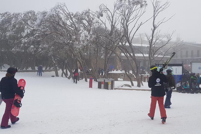 Mt Buller Day Trip from Melbourne - Real Travelers’ Insights