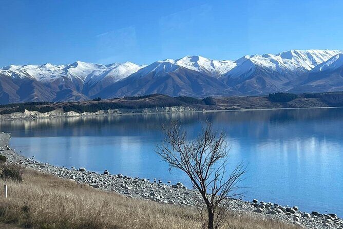 Mt. Cook Private Day Trip From Queenstown with Lake Tekapo - Detailed Breakdown of the Itinerary