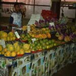 Mud Pools, Hindu Temple, Sleeping Giants Gardens, shopping, markets & Lunch - In-Depth Look at the Tour Itinerary