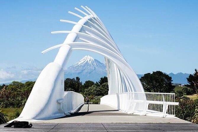 Multi Day Tour to New Plymouth and Taranaki Region from Hamilton - The Sum Up