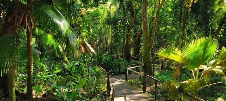 NADI: Exquisite Orchid Garden Tour with Hotspring & Mudpool - What Makes This Tour Stand Out?