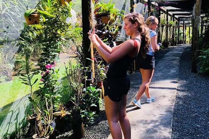 Nadi Sightseeing & Mud Pool Tour - Who Should Book This Tour?