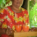 Nadi Therapeutic Mud Pools and Garden Tour - Shore Excursions EX PORT DENARAU - Handicraft Market