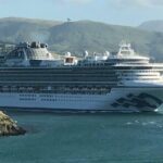 Napier Cruise Excursion Art Deco Tour and Wine Tasting - Final Thoughts