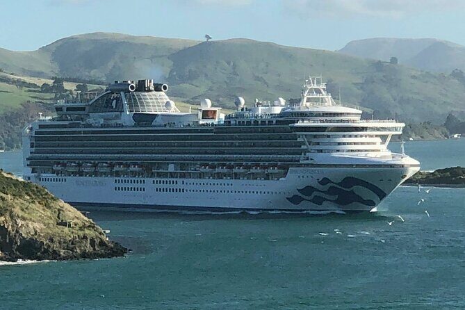 Napier Cruise Excursion Art Deco Tour and Wine Tasting - Final Thoughts