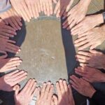 Napier Highlights Plus: Art Deco, Murals & Coastal Discovery - Transportation, Group Size, and Overall Value