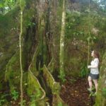 National Park Lava Cliffs and Black Sand Beach - An In-Depth Look at the Tour Experience