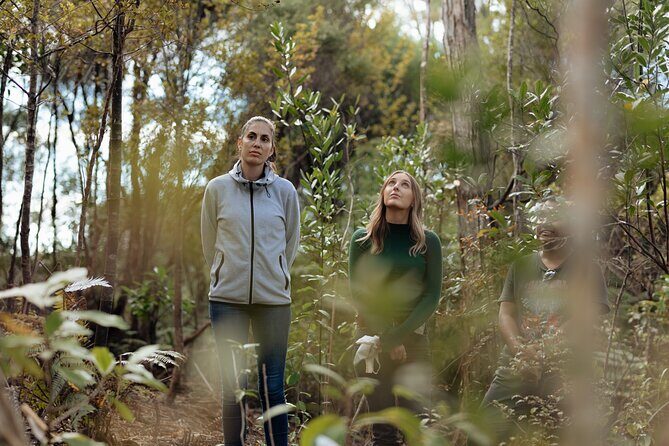 Native Forest Farm Experience Nourishing Nature in Auckland - Who Is This Tour Best For?