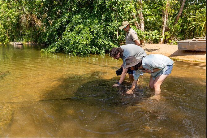 Near Darwin Territory Wildlife Park General Entry - Final Thoughts