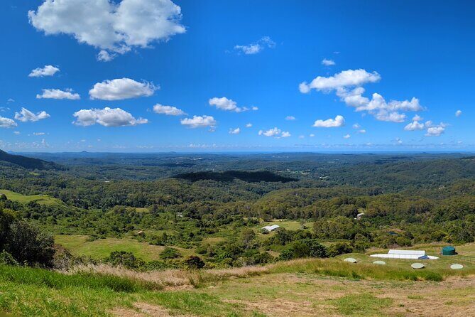 Noosa, Aussie Animals & Glass House Mountains from Brisbane - Value and Overall Impression